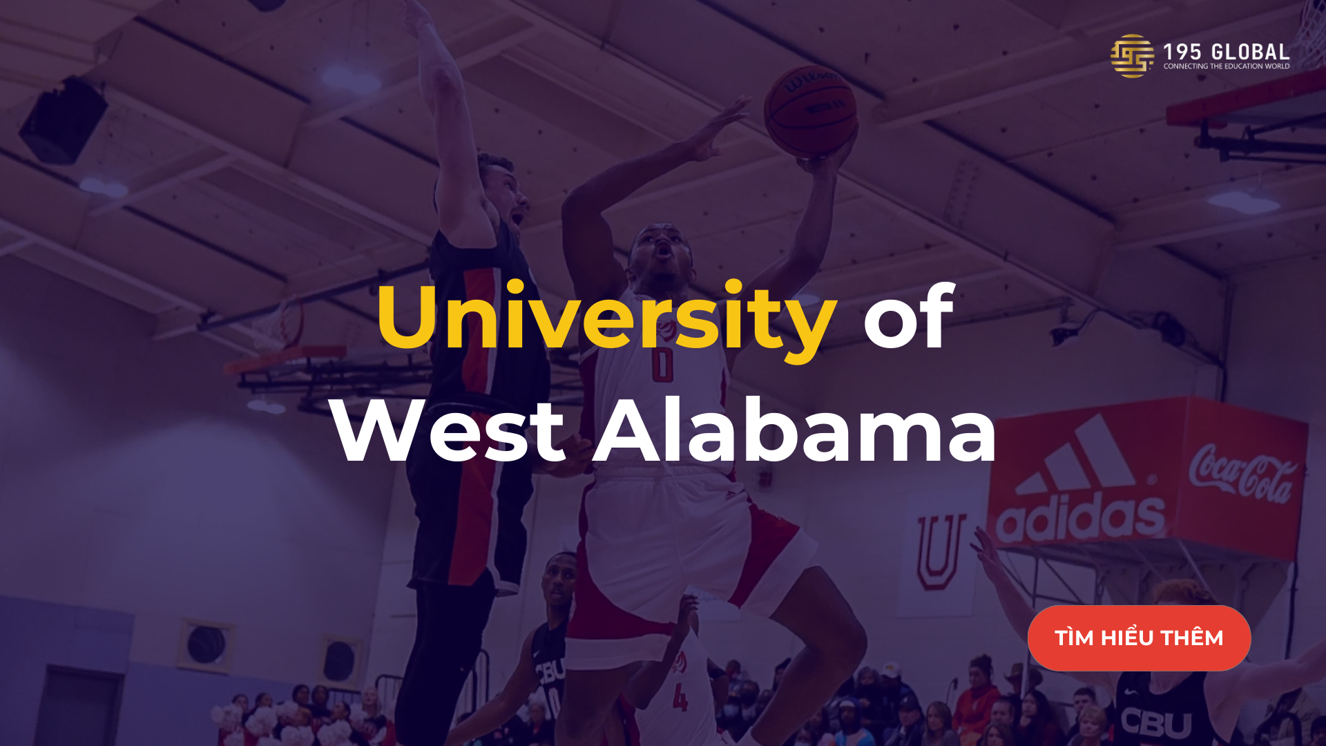 University of West Alabama: Học phí thấp, cơ hội định cư - 195 Global ...